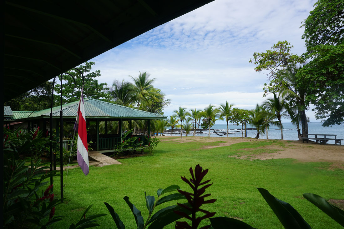 Reptile Project - Costa Rica | Meaningful Travel